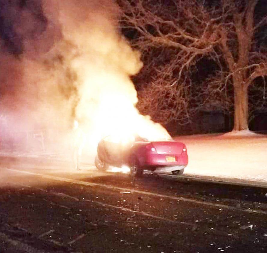 Crash highlights perils of wildlife on local roads | News, Sports, Jobs ...